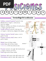 Términos de Lateralidad en Anatomía | PDF | Términos anatómicos de ...