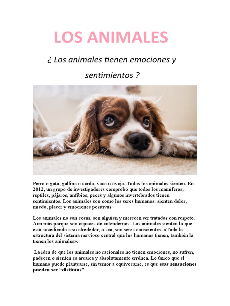 Emociones y sentimientos en animales | PDF | Las emociones | Comportamiento