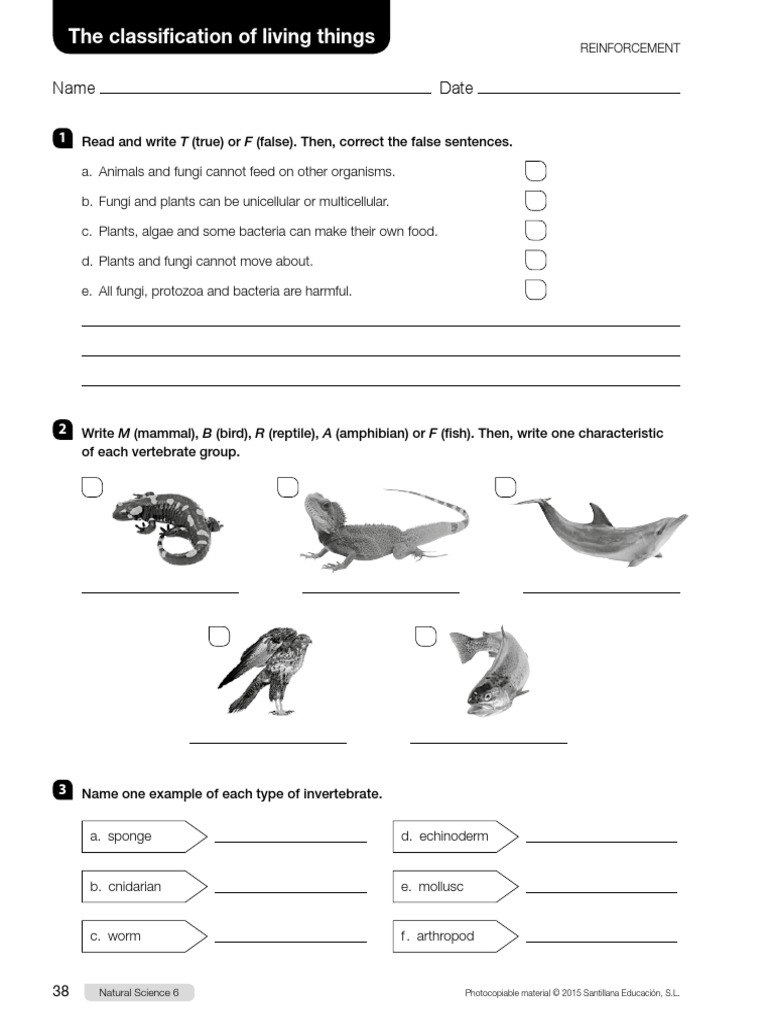 The Classification of Living Things | PDF | Plants | Invertebrate