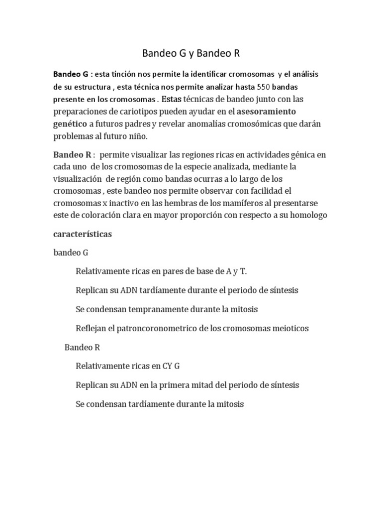 Bandeo G y Bandeo R | PDF