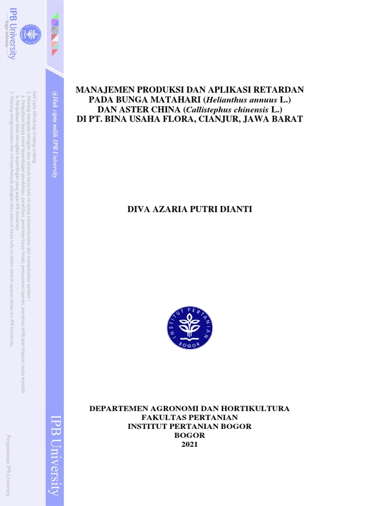 Matahari Dan Aster | PDF