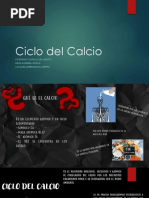 Ciclo Biogeoquímico Del Calcio | PDF