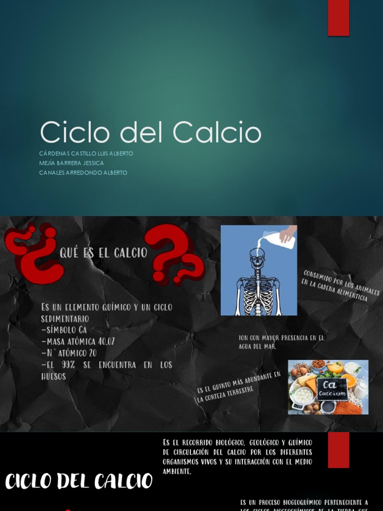 Ciclo Del Calcio | PDF | Calcio | Roca (geología)