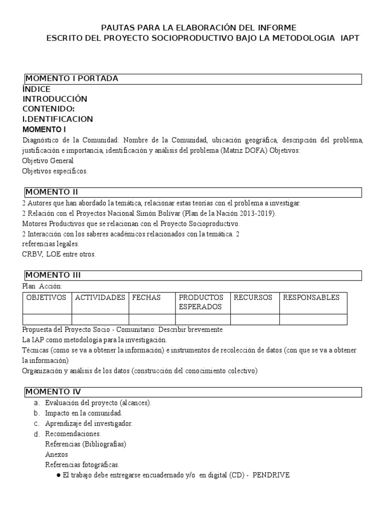 Pautas para La Elaboración Del Informe Iap | PDF | Cognición
