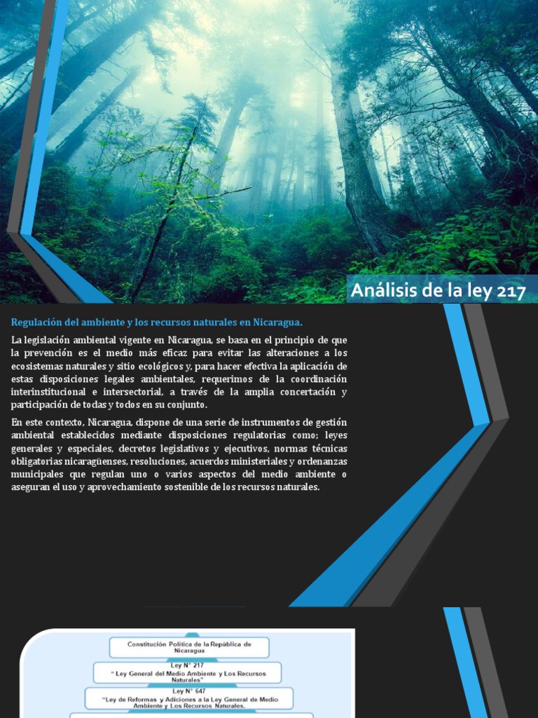 Ley 217 | PDF | Nicaragua | Legislación