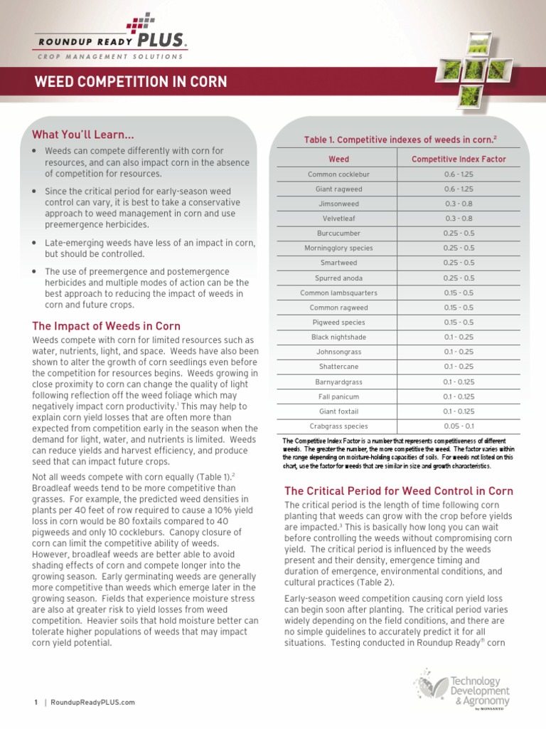 Weed Competition in Corn: What You'll Learn.. | PDF | Herbicide | Weed