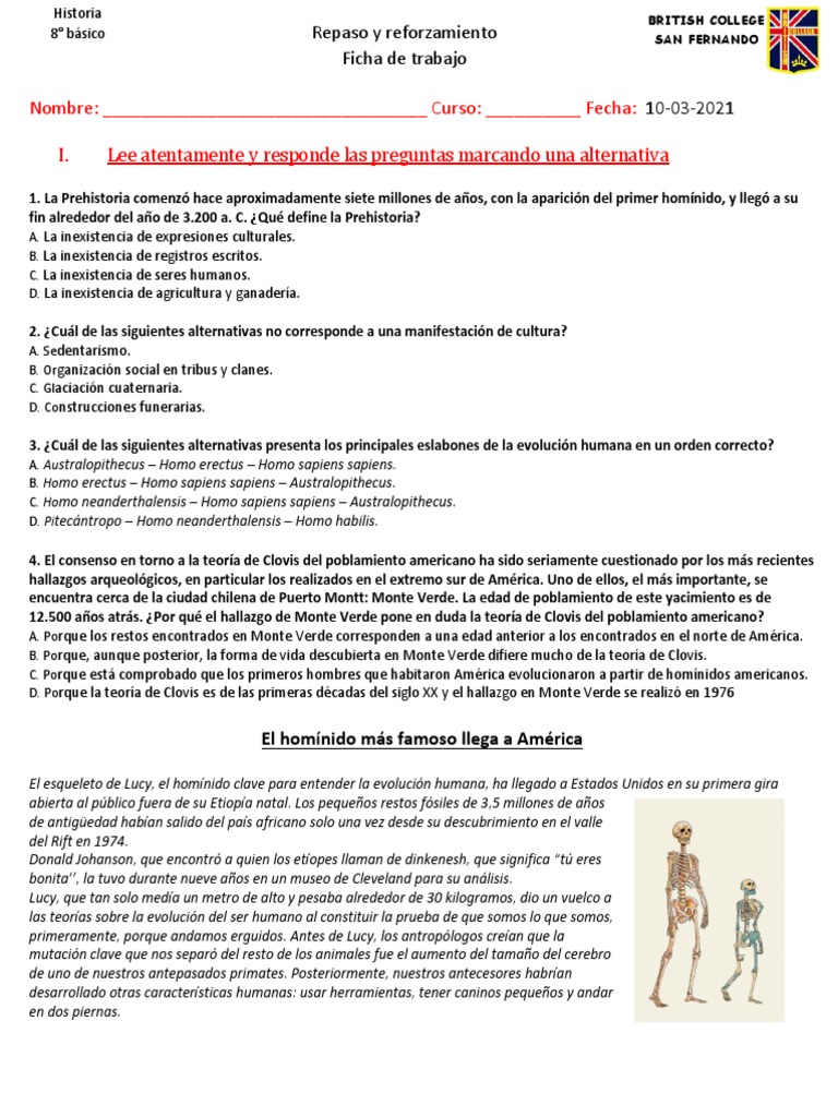 8° Basico Guía #1 Trabajo Hominizacion | PDF | Lucy (Australopithecus ...