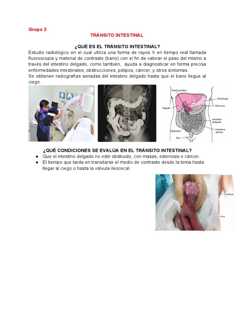 Transito Intestinal | PDF | Radiología | Rayo X