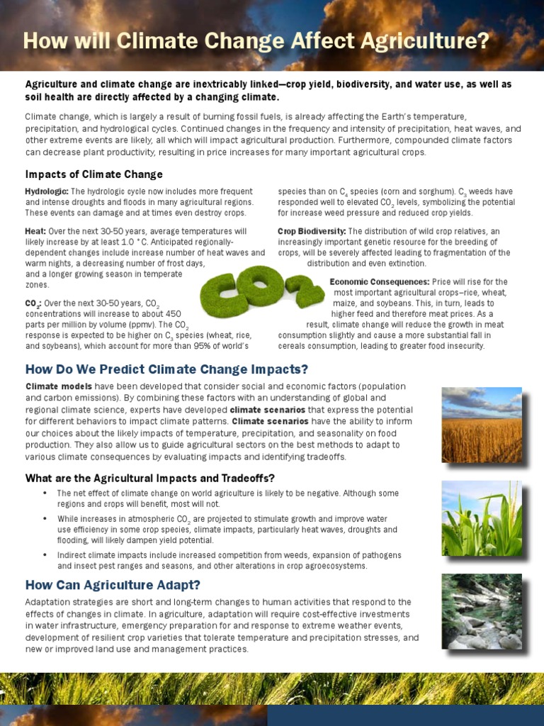 Climate Change One Pager | PDF | Climate Change | Agriculture