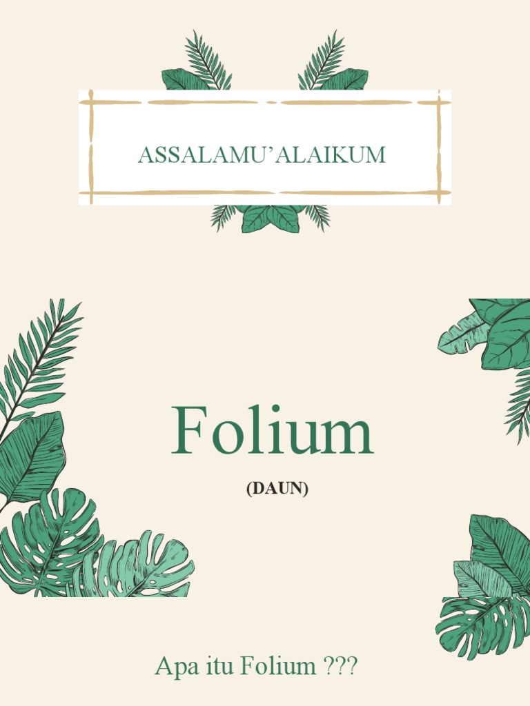 Simplisia Folium FarmakognosiDasar - adesolehudinXFKK2 | PDF