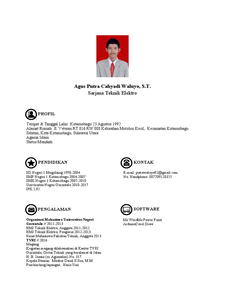 Curriculum Vitae Putra | PDF