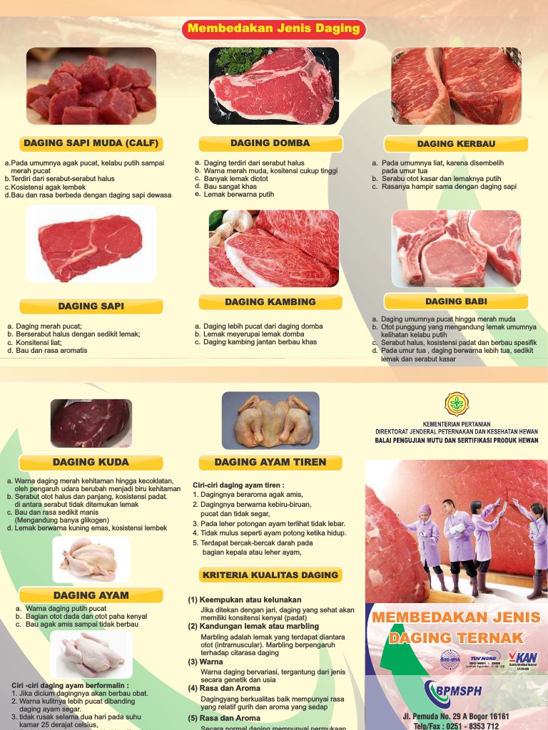 Macam Daging | PDF