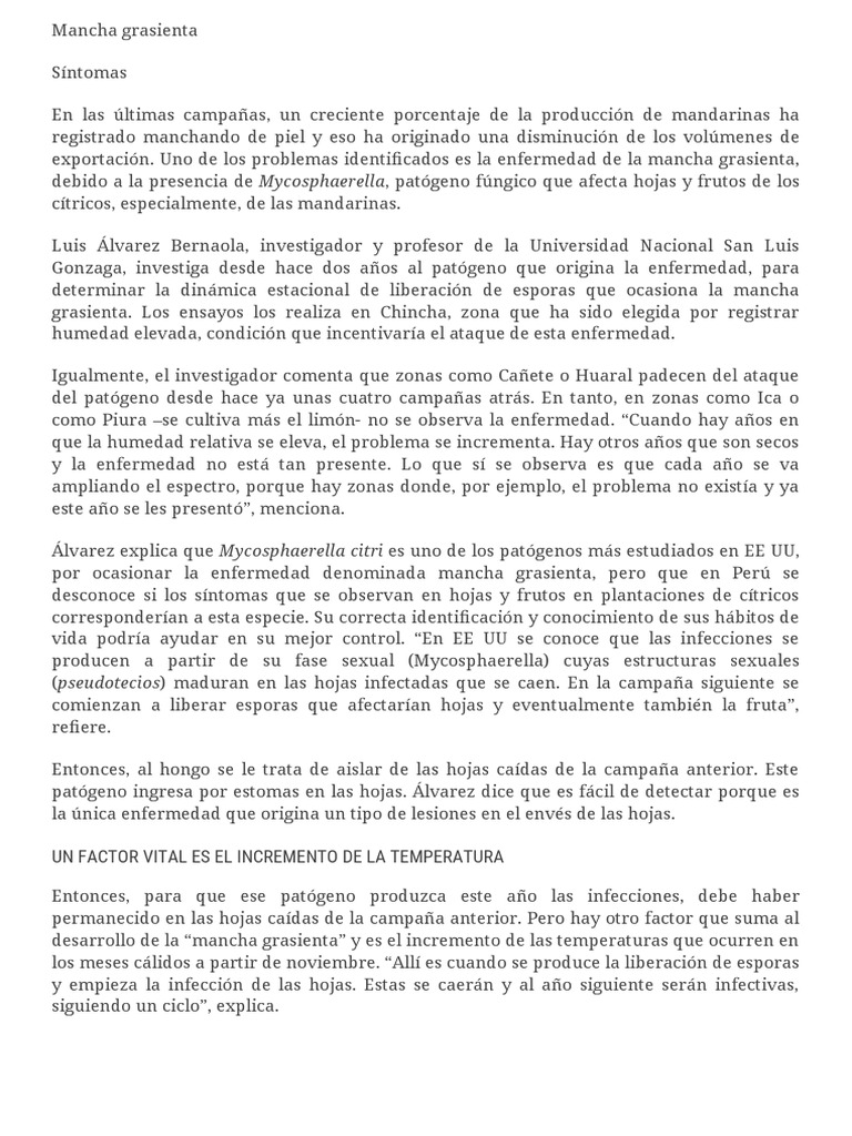 Mancha Grasienta | PDF | Hoja | Infección