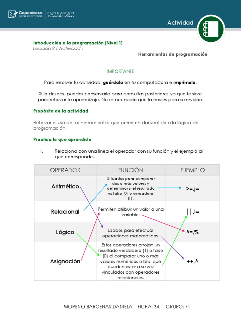 Lección 2 Introducción A La Programación | PDF | Ingeniería de software ...