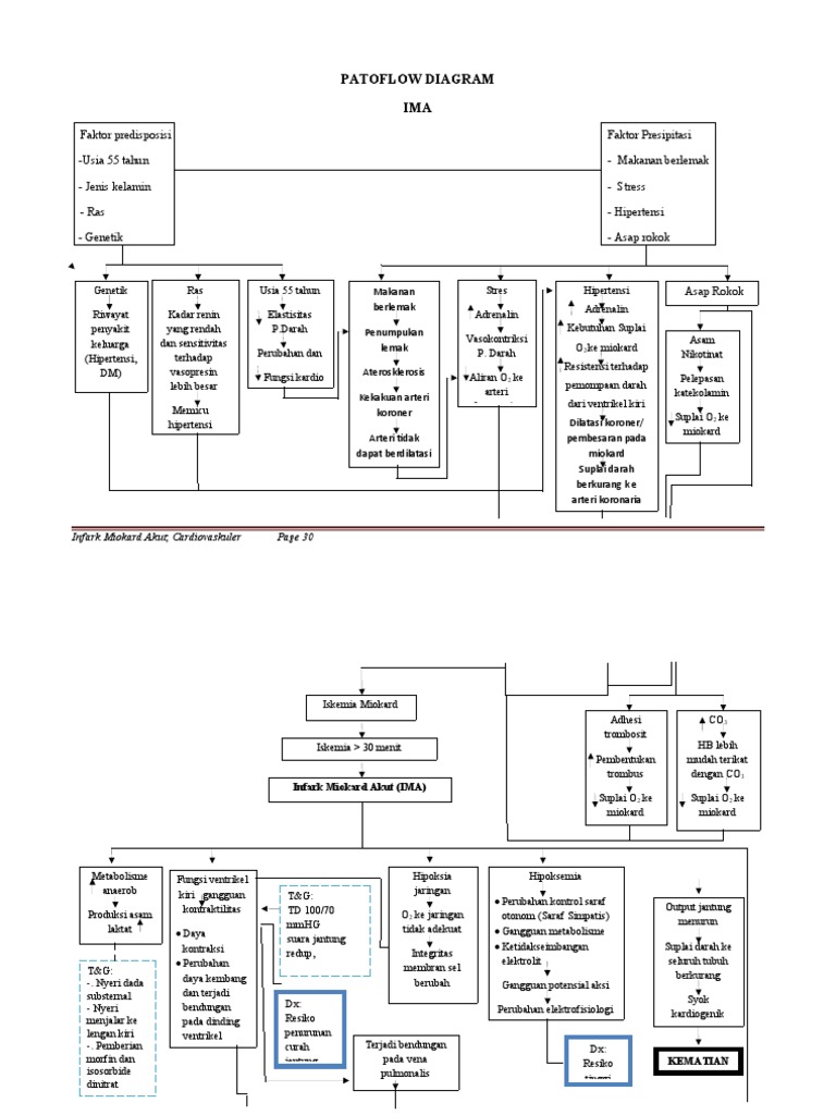Pathway Ima (Infark Miocard Akut) 1 | PDF