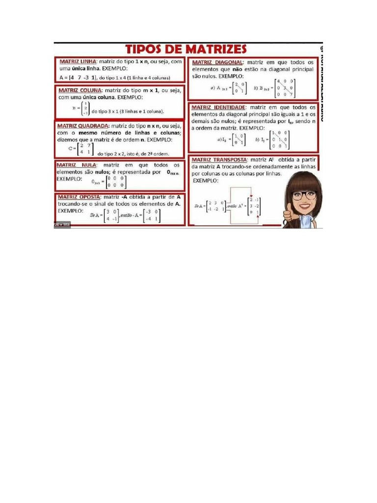 Resumo Tipos de Matrizes 2021 | PDF