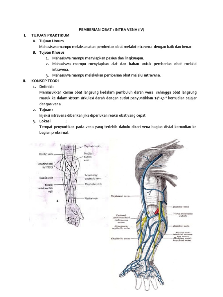 Checklist Pemberian Obat Via Intravena | PDF