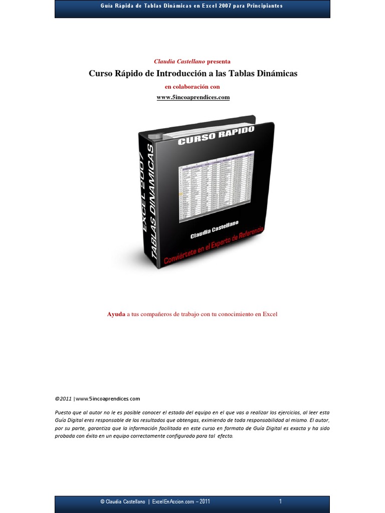 LECCIÓN 1 Tablas Dinamicas | PDF | Microsoft Excel | Informática