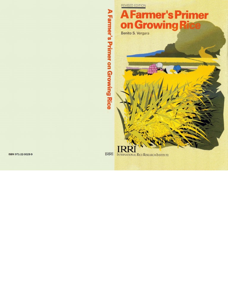A Farmer's Primer On Growing Rice | PDF | Seed | Root