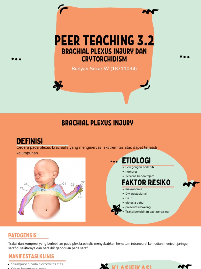 Peer Teaching | PDF