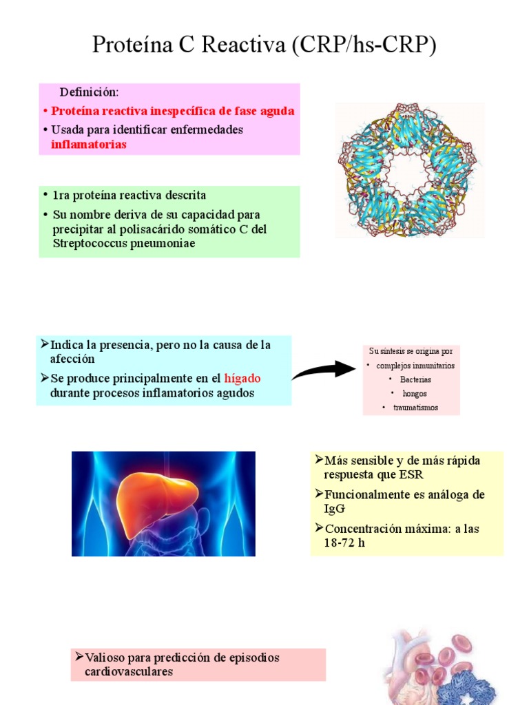Proteína C Reactiva (CRP) | PDF | Proteína C-reactiva | Inflamación