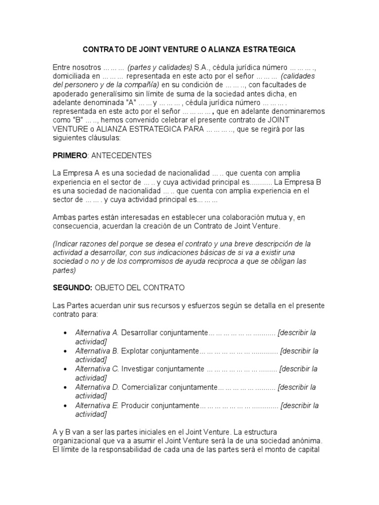 Contrato de Joint Venture o Alianza Estrategica | PDF | Proyecto ...