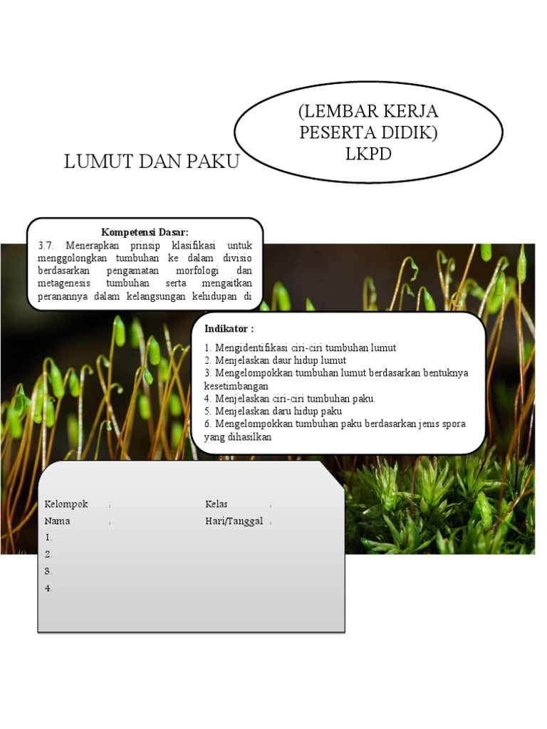 LKPD Plantae X | PDF