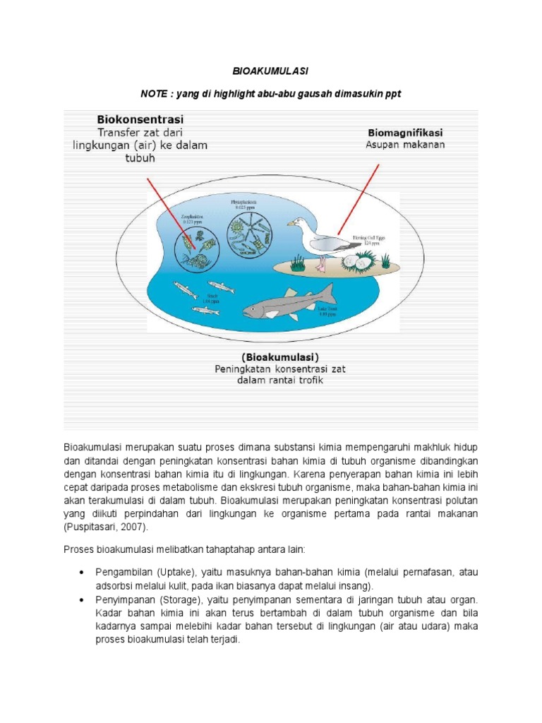 Proses Bioakumulasi pada Organisme | PDF | Sains & Matematika