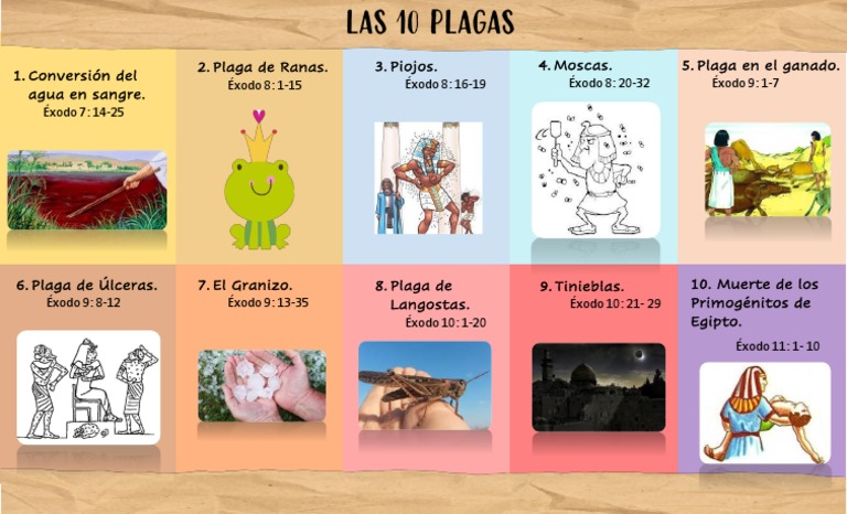 Stella Maris CONOCIENDO LA BIBLIA ?? LAS 10 PLAGAS DE, 54% OFF