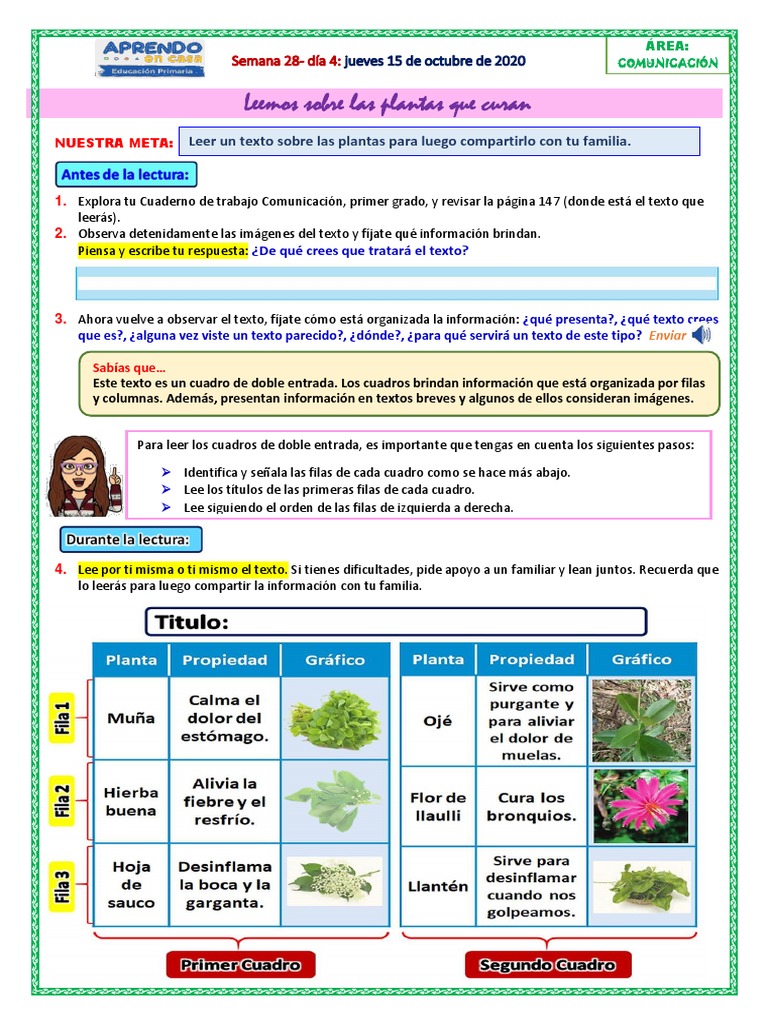 Sem 28 Sesion 4 | PDF