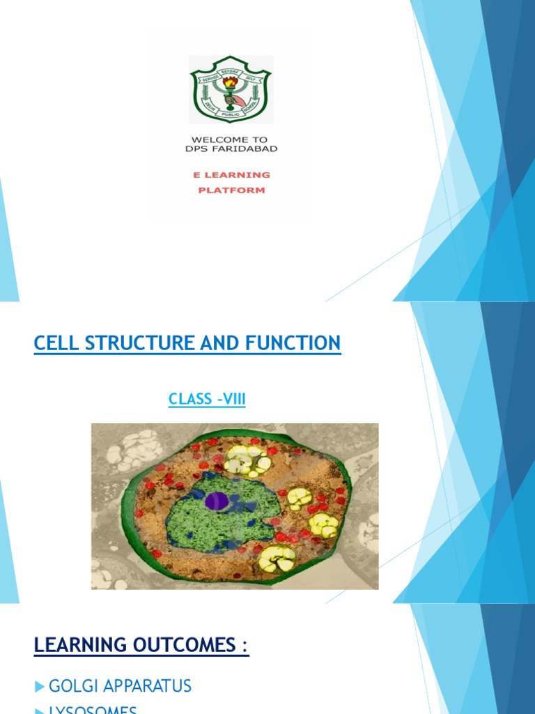 Cell Class Viii - 3 Competitive | PDF | Endoplasmic Reticulum | Lysosome