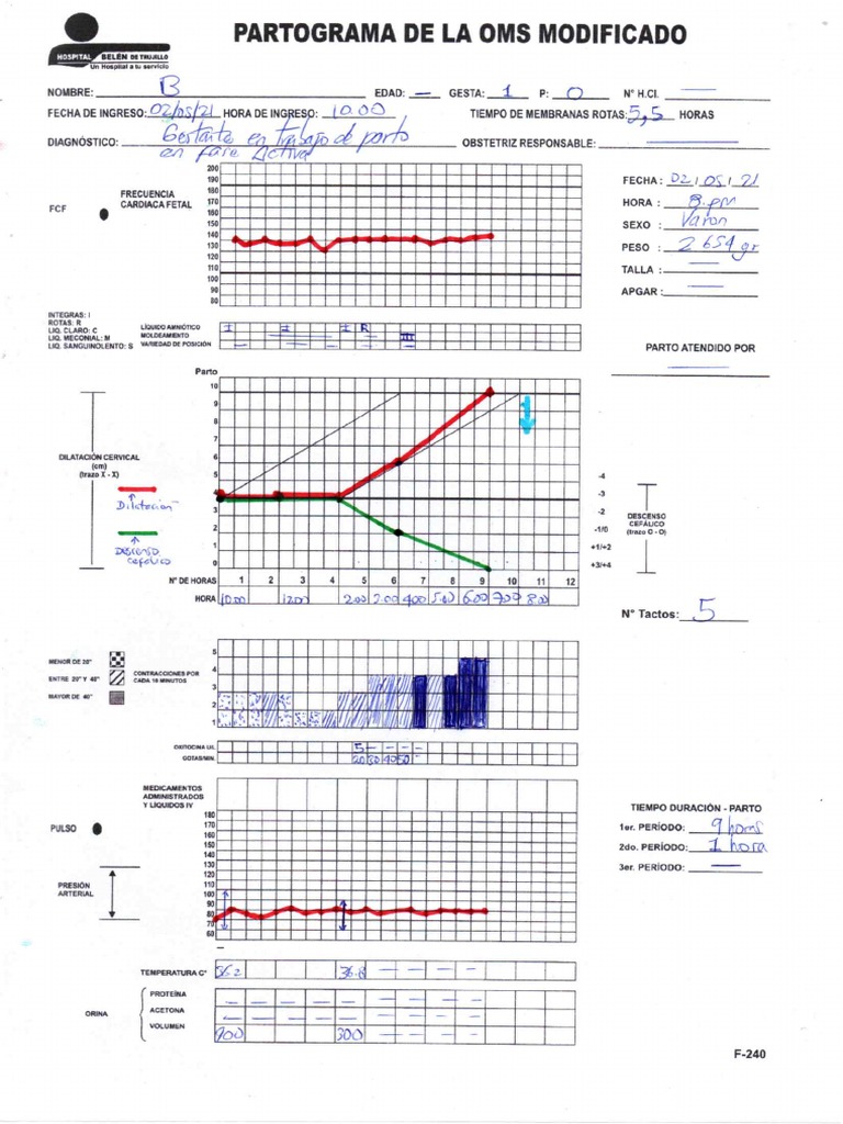 Partograma Del Caso Clínico | PDF