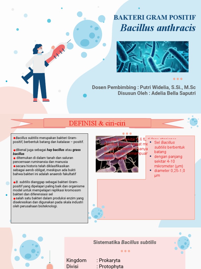 Bakteri B.Subtilis | PDF