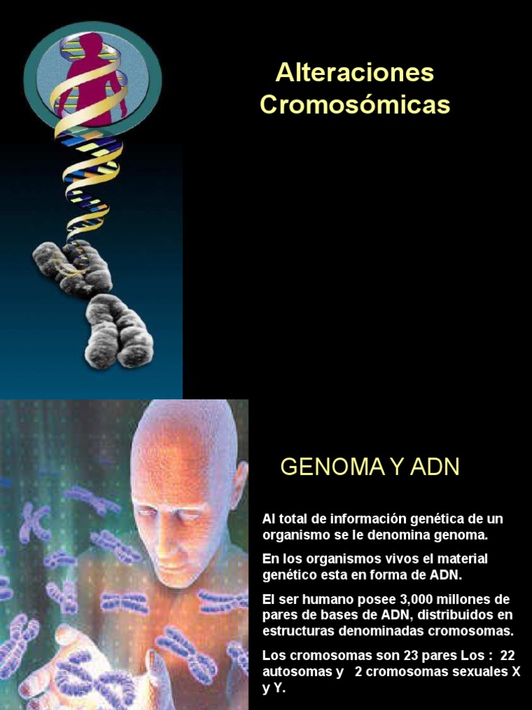 Alteraciones Cromosómicas | PDF | Mutación | Gene