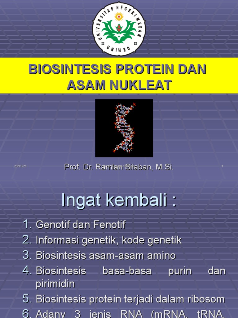 6-Biosintesis Protein Dan Asam Nukleat | PDF | Translation (Biology ...