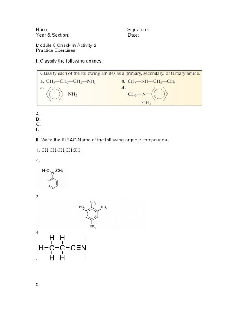 Lec M5 Check-In Activity 2 | PDF