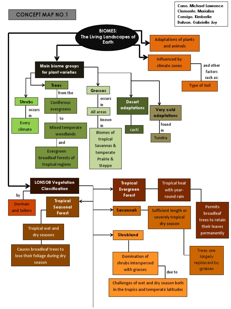 Types of Ecosystems | PDF | Forests | Aquatic Ecosystem