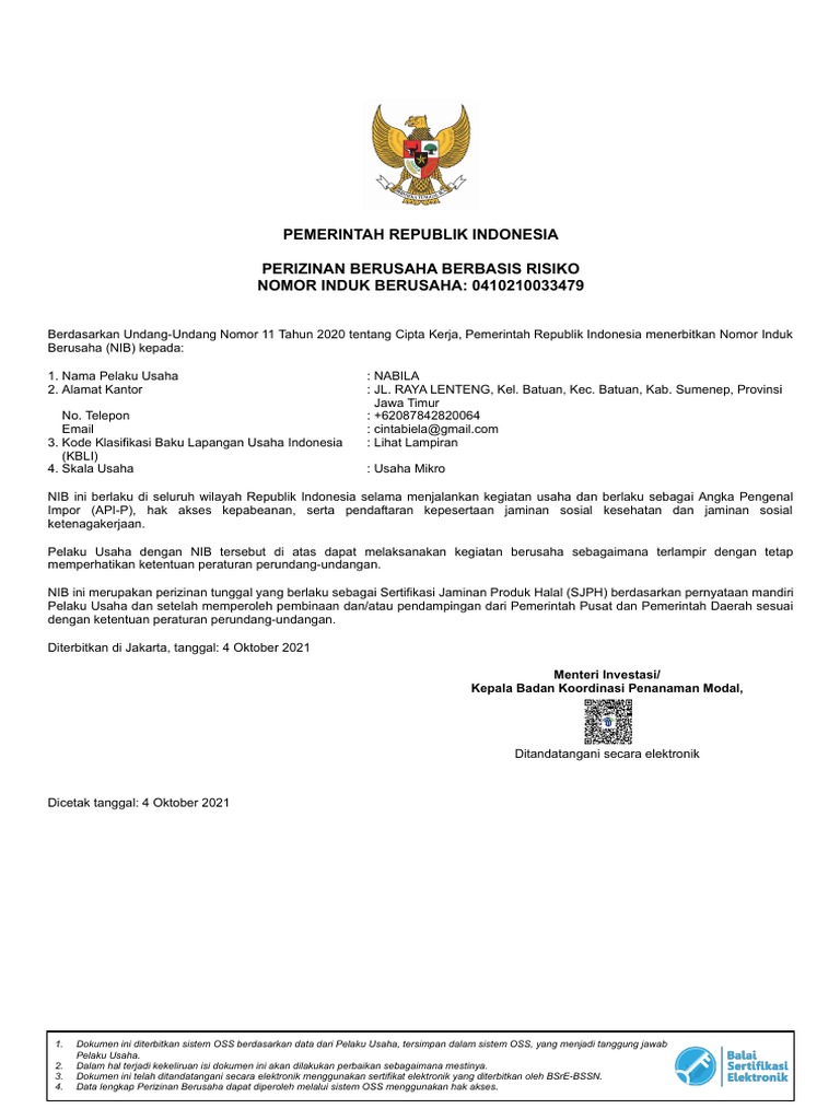 NIB Perizinan Usaha Mikro Indonesia | PDF