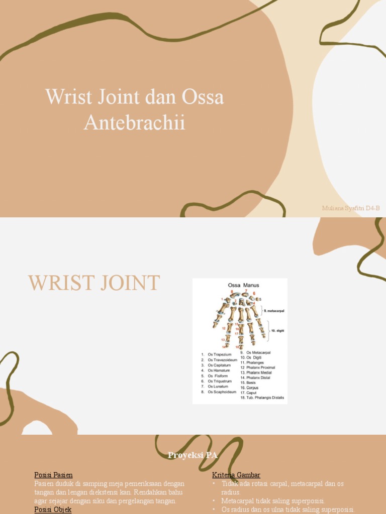 Wrist Joint & Antebrachii Bu Shinta | PDF
