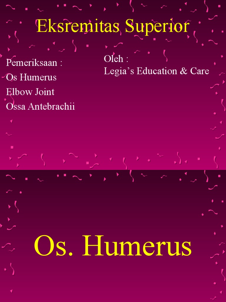 Os Humerus Elbow Joint Dan Ossa Antebrachii | PDF