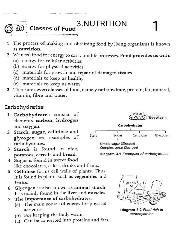 Science Form 2 Chapter 3 Nutrition | PDF