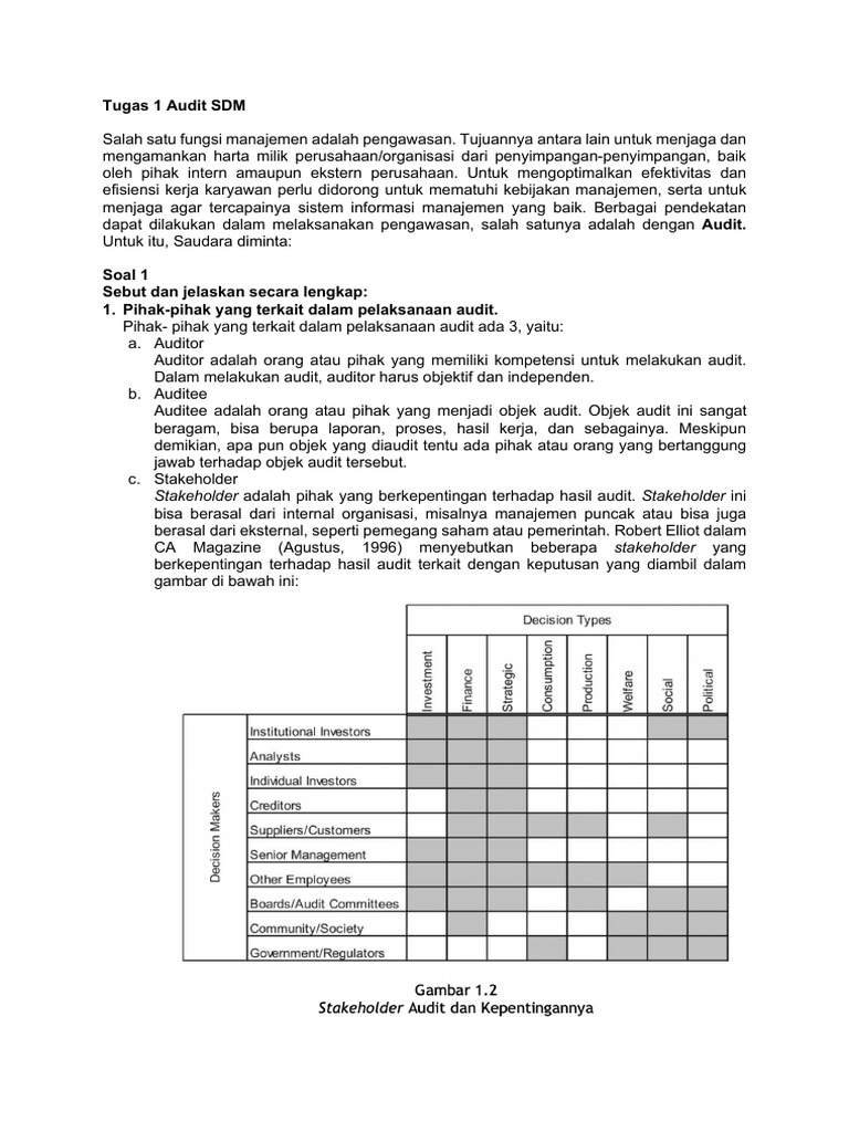 Tugas 1 Audit SDM | PDF