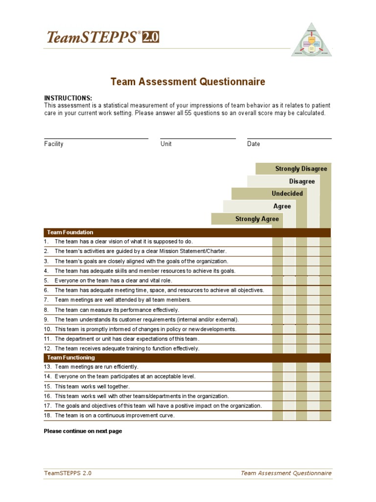 Team Assessment Questionnaire: Instructions | PDF | Goal | Leadership