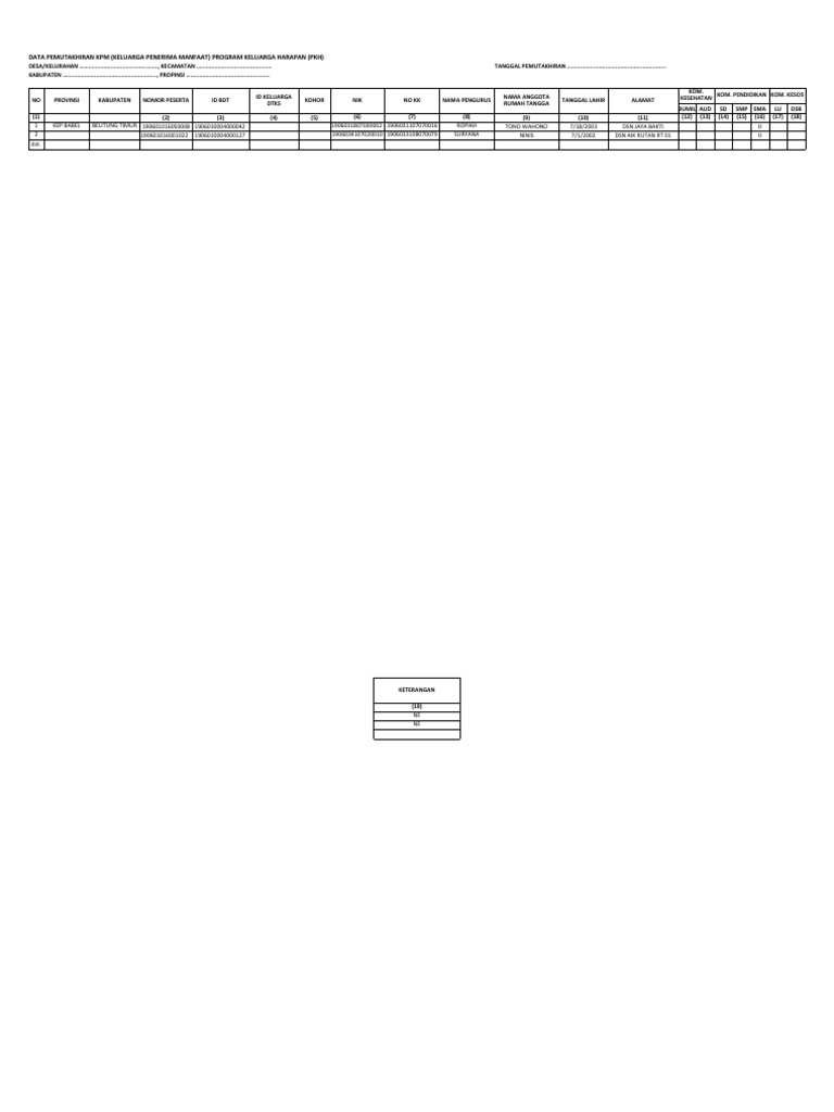 Format Pemutakhiran Data-PKH | PDF