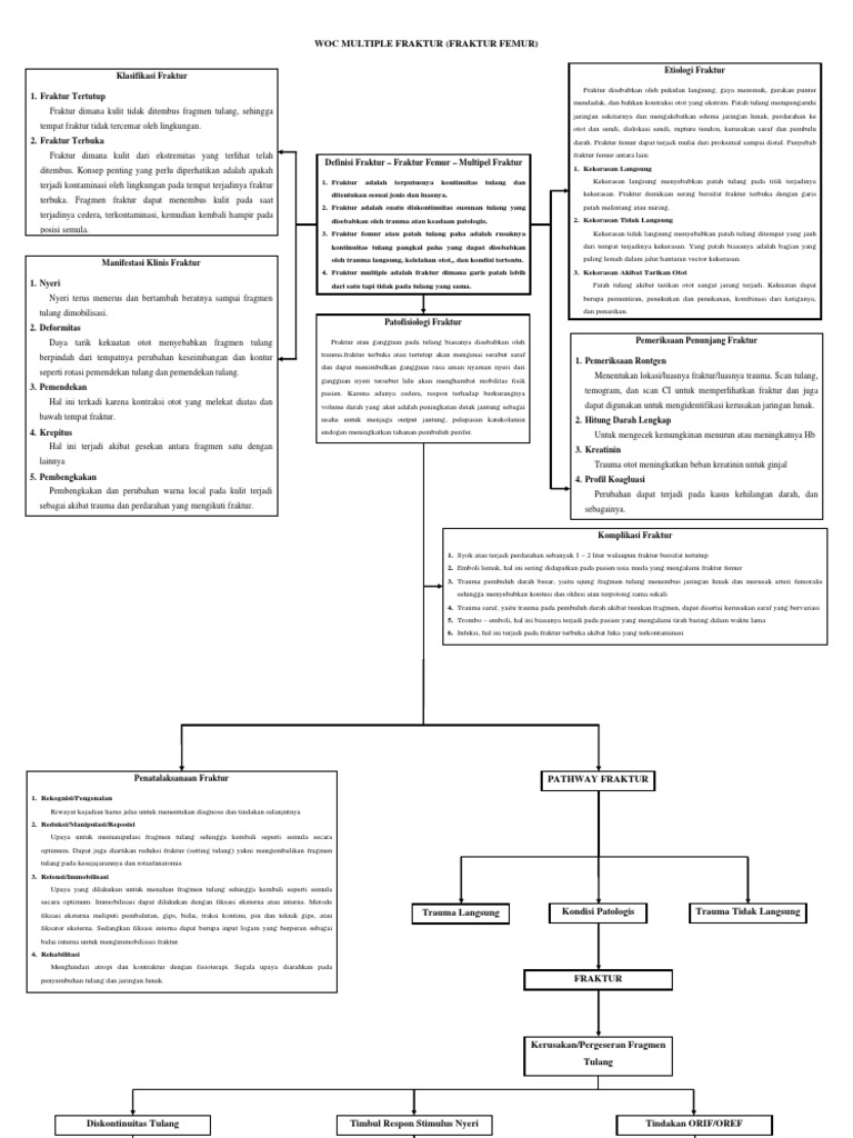 Woc Multiple Fraktur | PDF