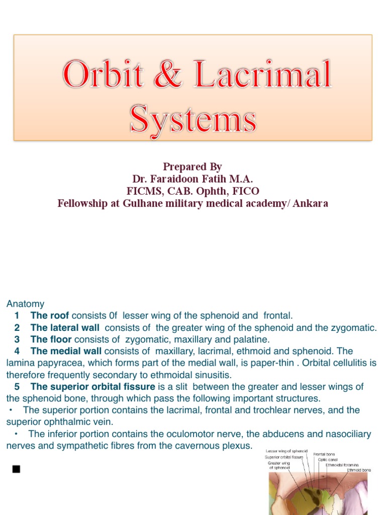 Orbit 20 | PDF | Diseases And Disorders | Medical Specialties