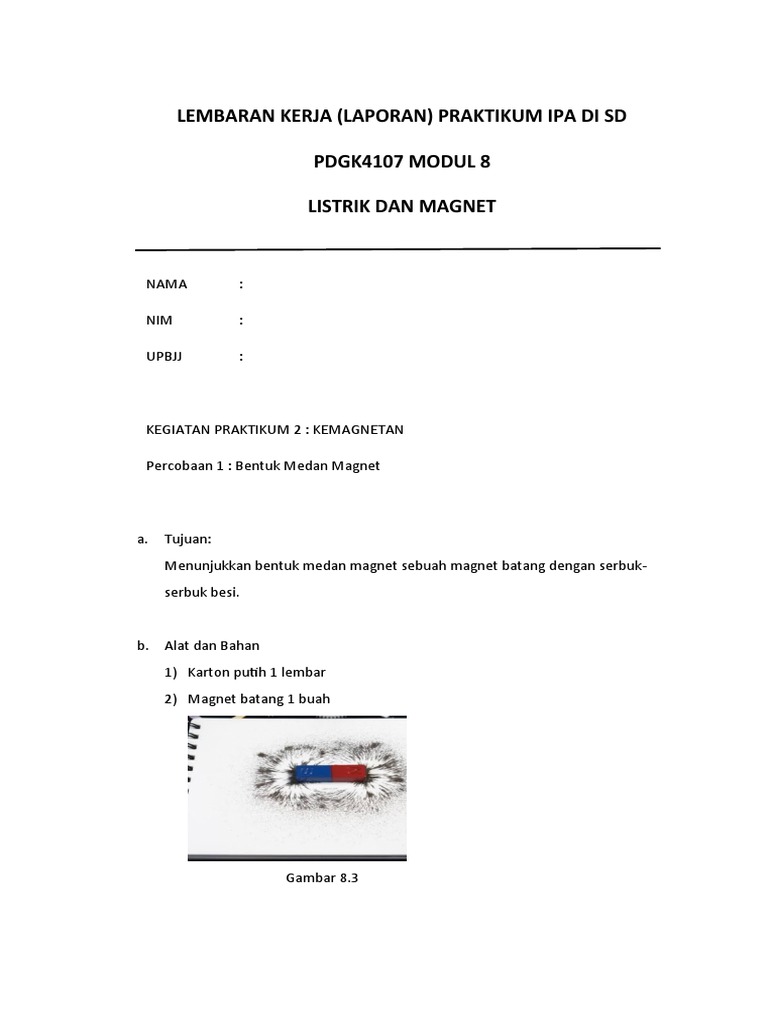Pola Medan Magnet dengan Serbuk Besi | PDF