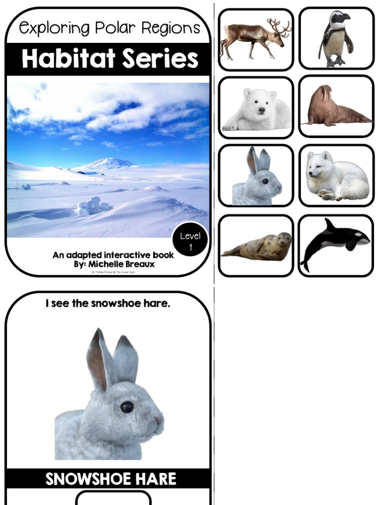 Habitat Series: Exploring Polar Regions | PDF | Polar Bear | Pinniped