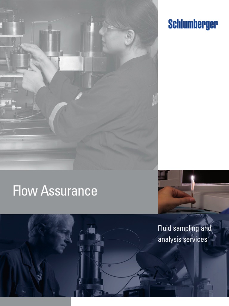 Flow Assurance Studies | PDF | Petroleum | Fluid Dynamics