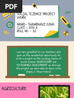 Interdisciplinary Project Class Ix | PDF